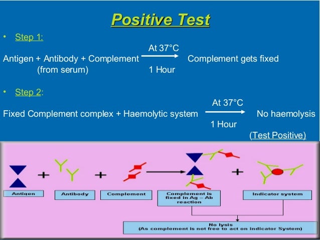 Ag ab reaction ii final