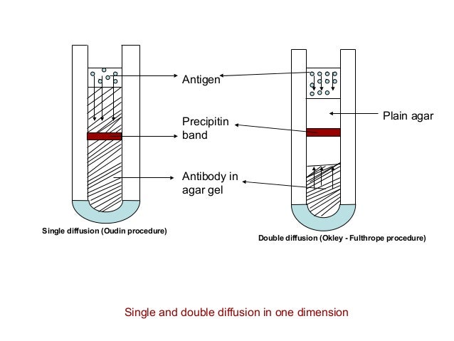 Ag ab reactions and clinical utility