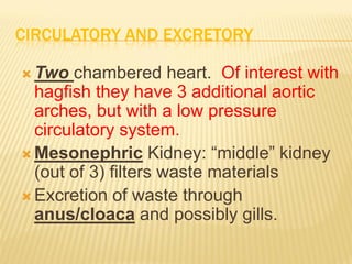 Aganathans class notes.pdf