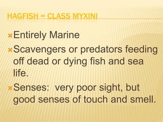 Aganathans class notes.pdf | Zoos & Aquariums | Attractions