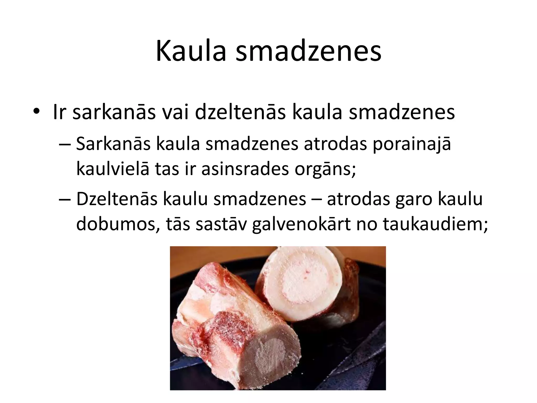 Skelets | PPTX