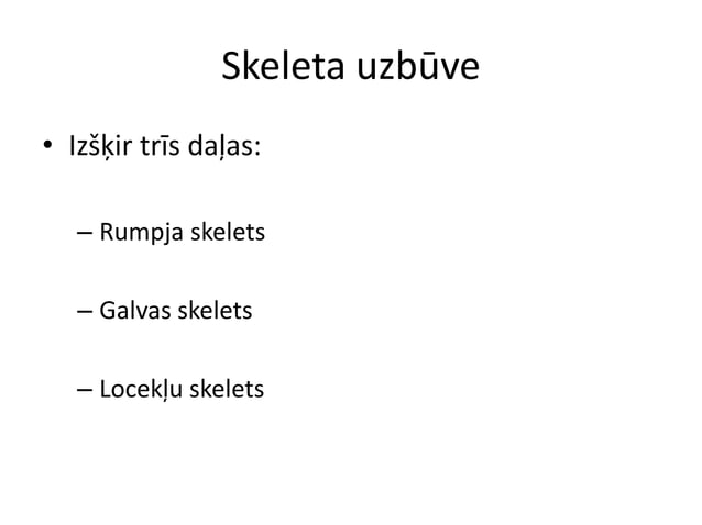 Skelets | PPT