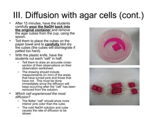 Agar-Cell-Diffusion.AS Biology Practical Resource | PPT