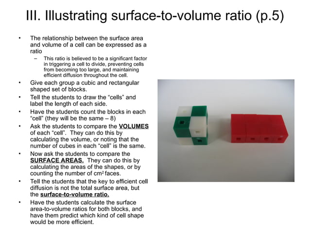 Agar-Cell-Diffusion.AS Biology Practical Resource | PPT