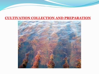 Agar agar, | PDF