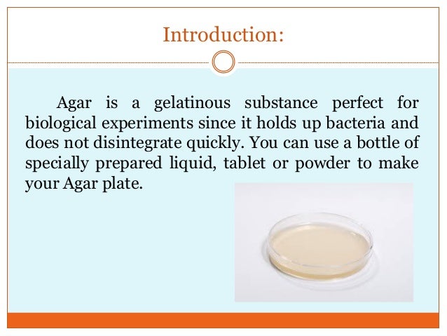 Agar Culture Medium