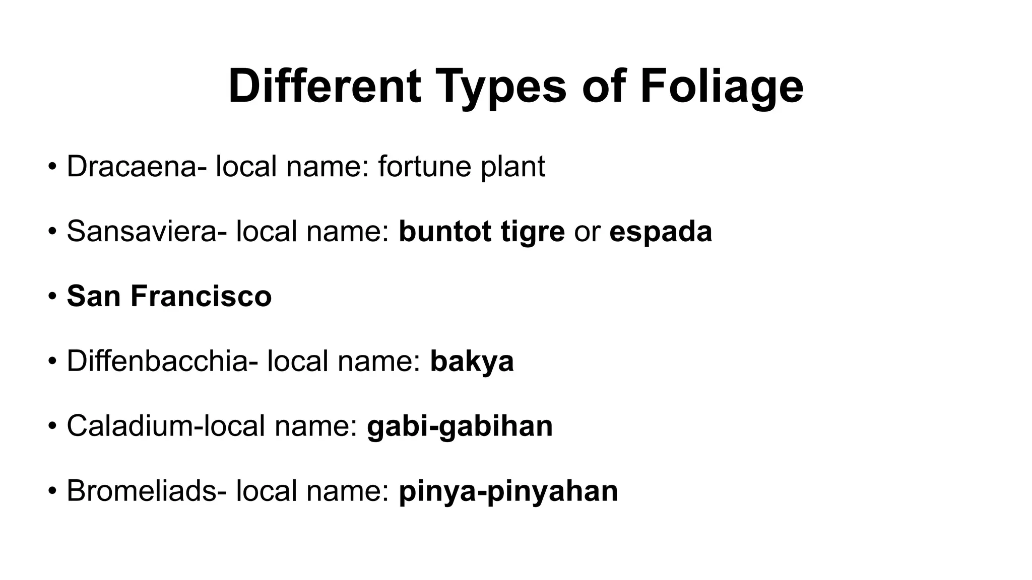 A Garden of Ornamental Plants | PPTX