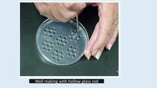 Agar Gel Precipitation Test (AGPT).pptx