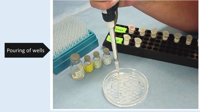 Agar Gel Precipitation Test (AGPT).pptx