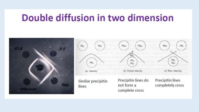 Agar Gel Precipitation Test (AGPT).pptx