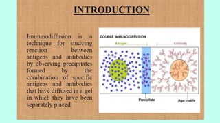 Agar Gel Precipitation Test (AGPT).pptx