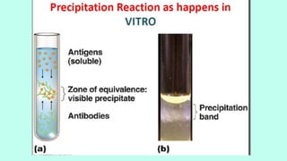 Agar Gel Precipitation Test (AGPT).pptx