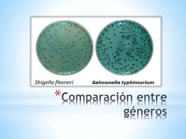 Hektoen Enteric Agar Shigella TM 121 Hektoen Enteric Agar 100gm