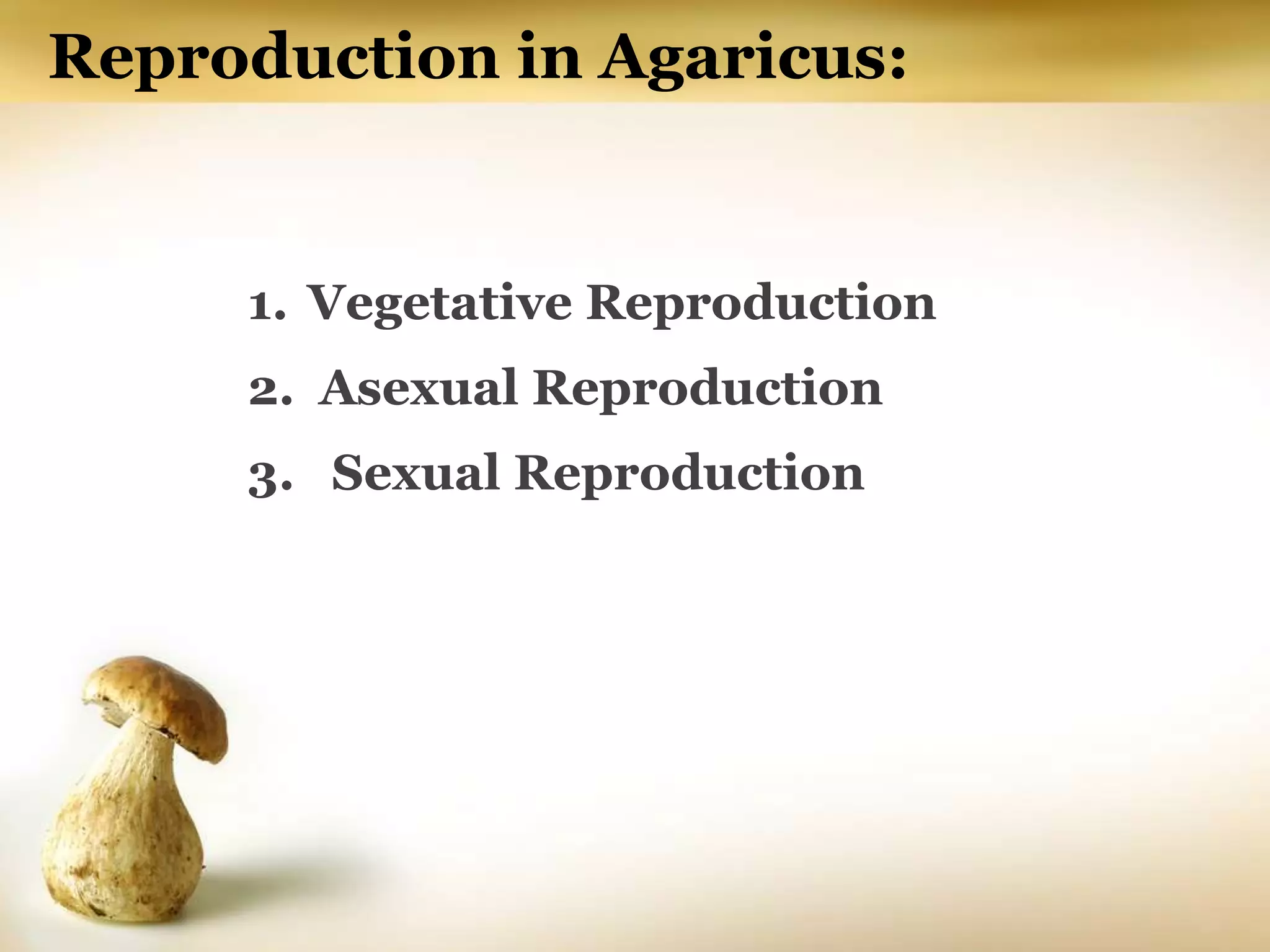 Agaricus | PPTX