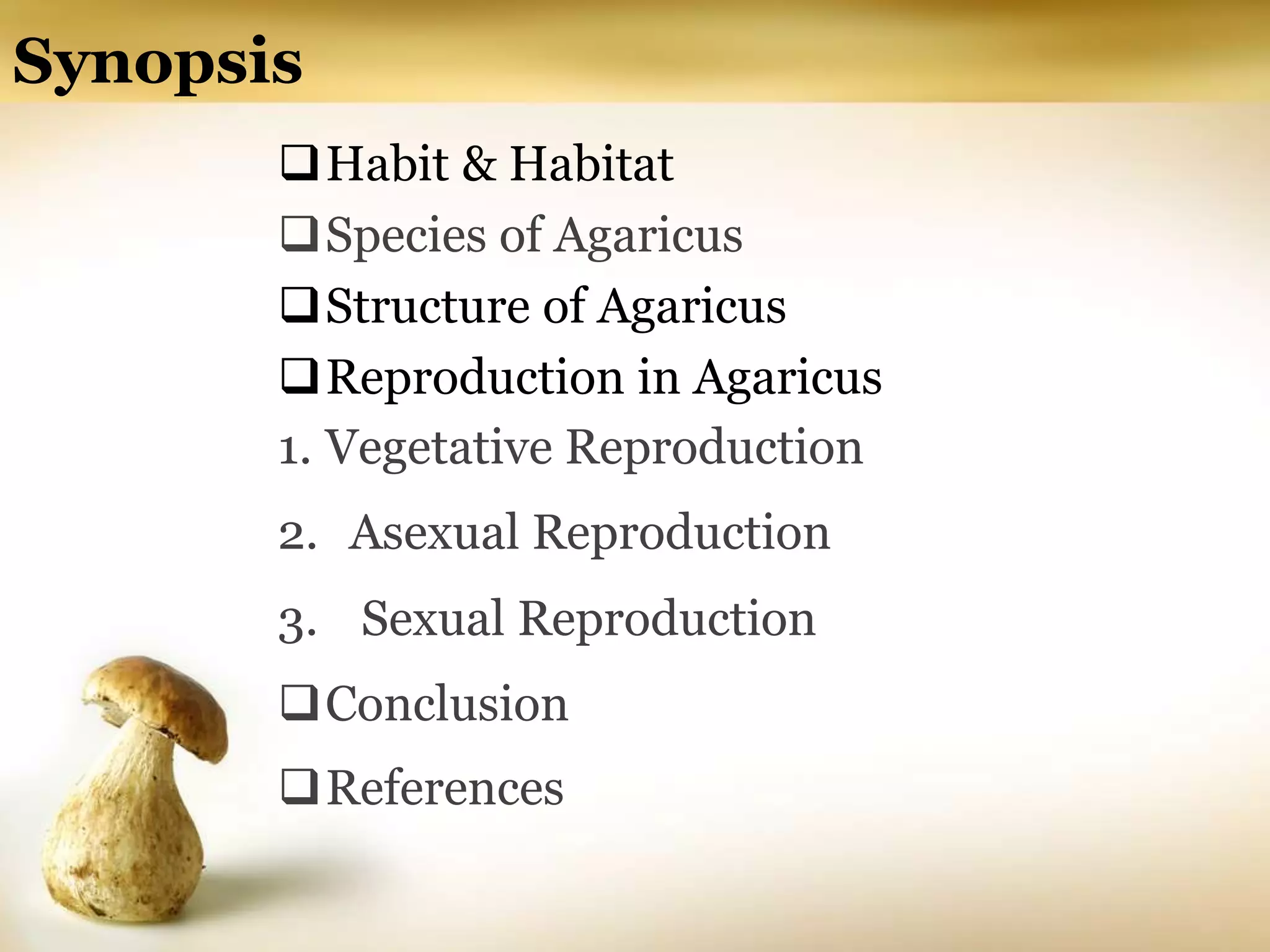 Agaricus | PPTX