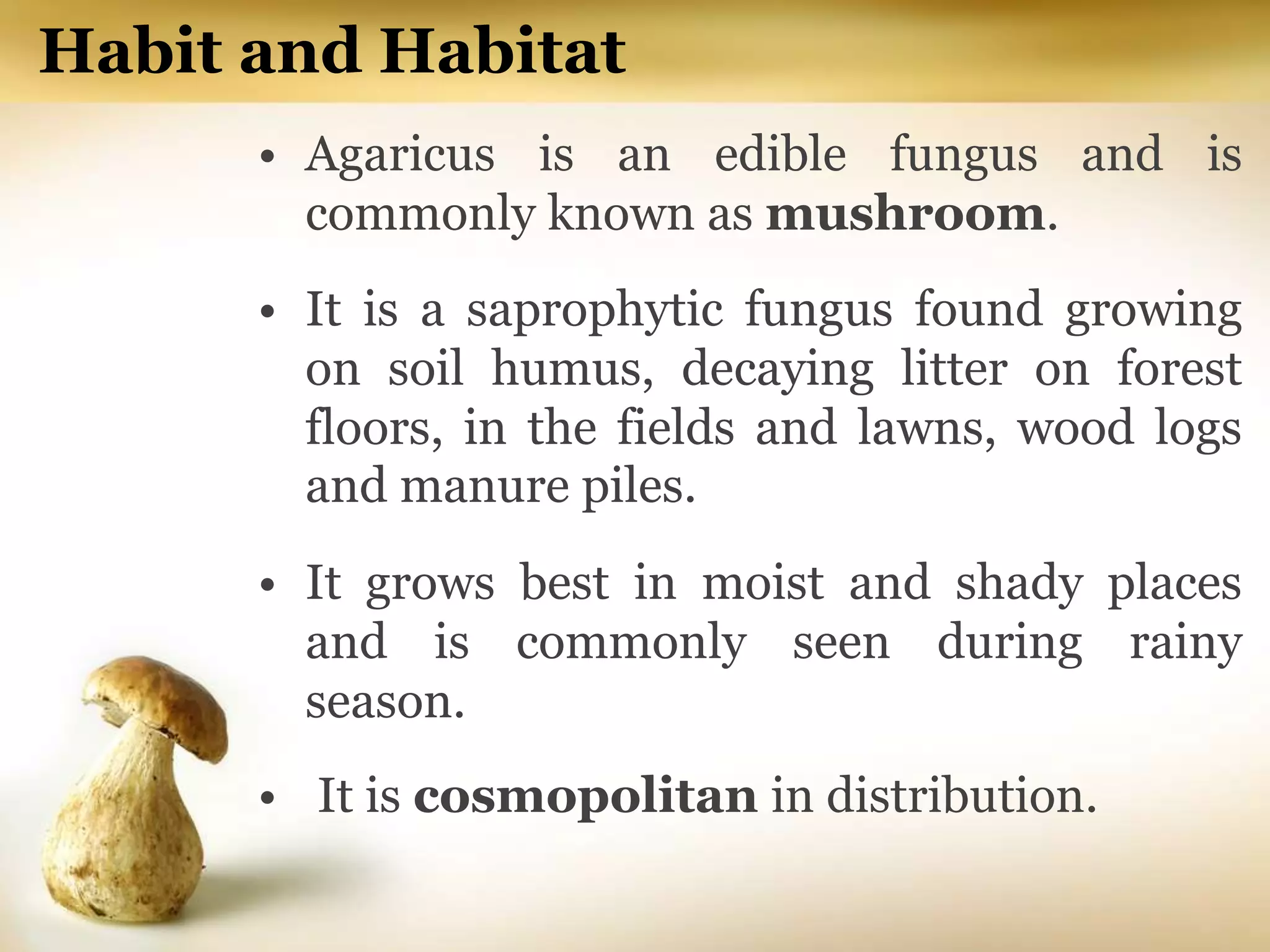 Agaricus | PPTX