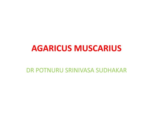 AGARICUS MUSCARIUS.pptx Keynotes by H.C. Allen | PPT
