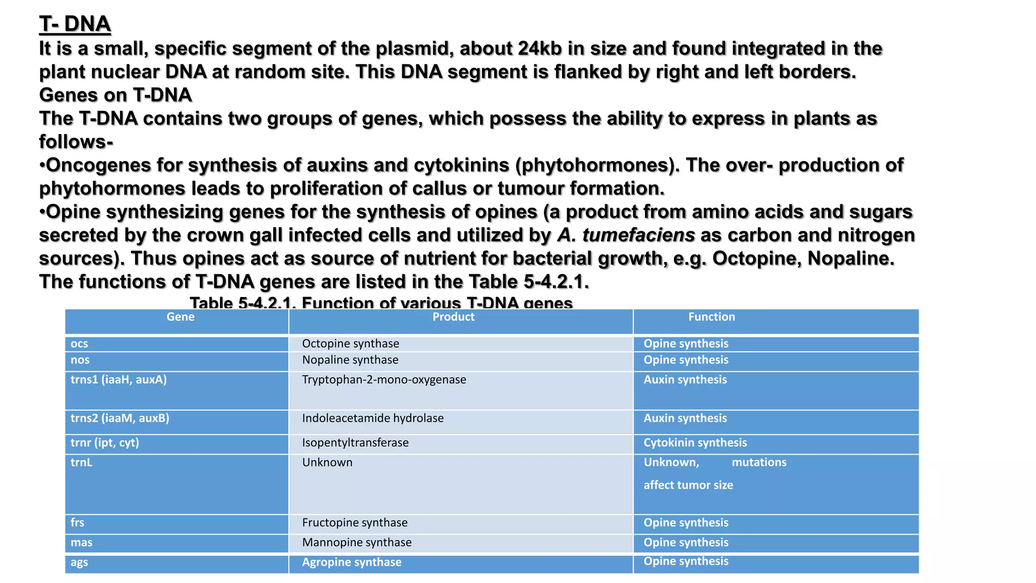 Agarobacterium tumefaciens based ti plasmid vectors | PPTX