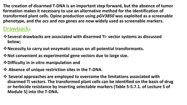 Agarobacterium tumefaciens based ti plasmid vectors | PPTX