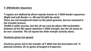 Agarobacterium tumefaciens based ti plasmid vectors | PPTX