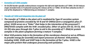Agarobacterium tumefaciens based ti plasmid vectors | PPTX