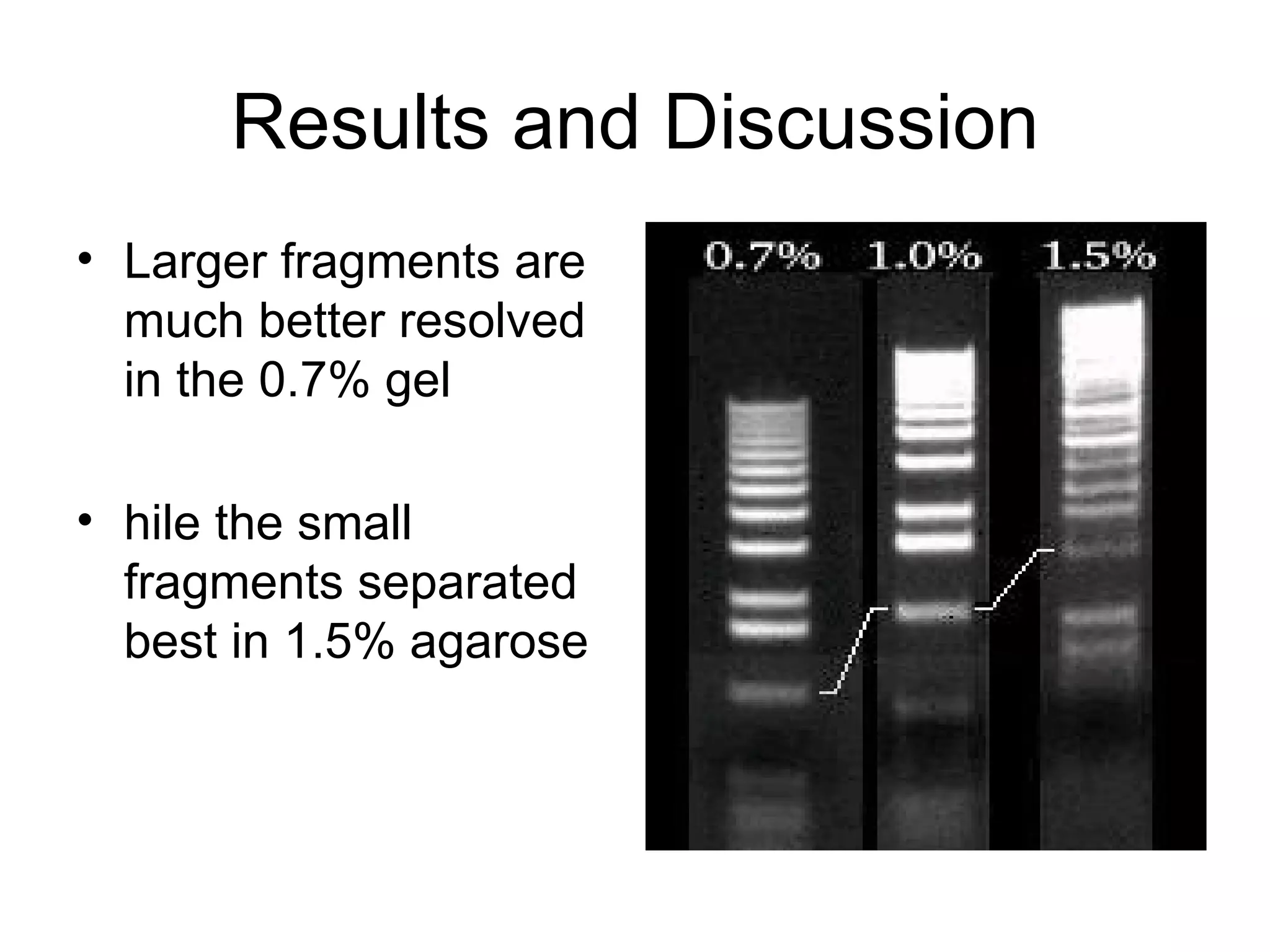 Agarose Gel | PPT
