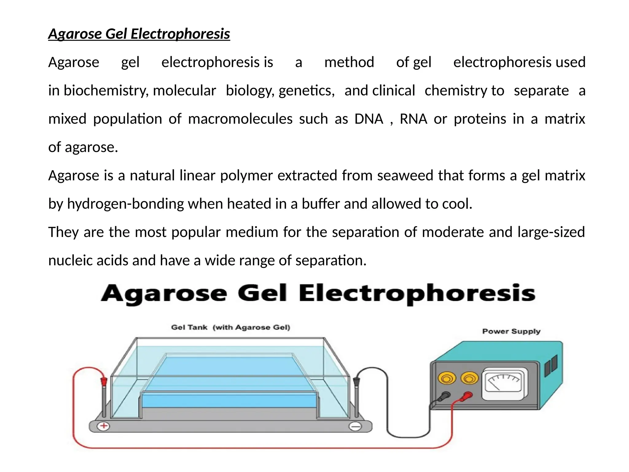 Agarose gel electrophoresis technology.pptx | Free Download