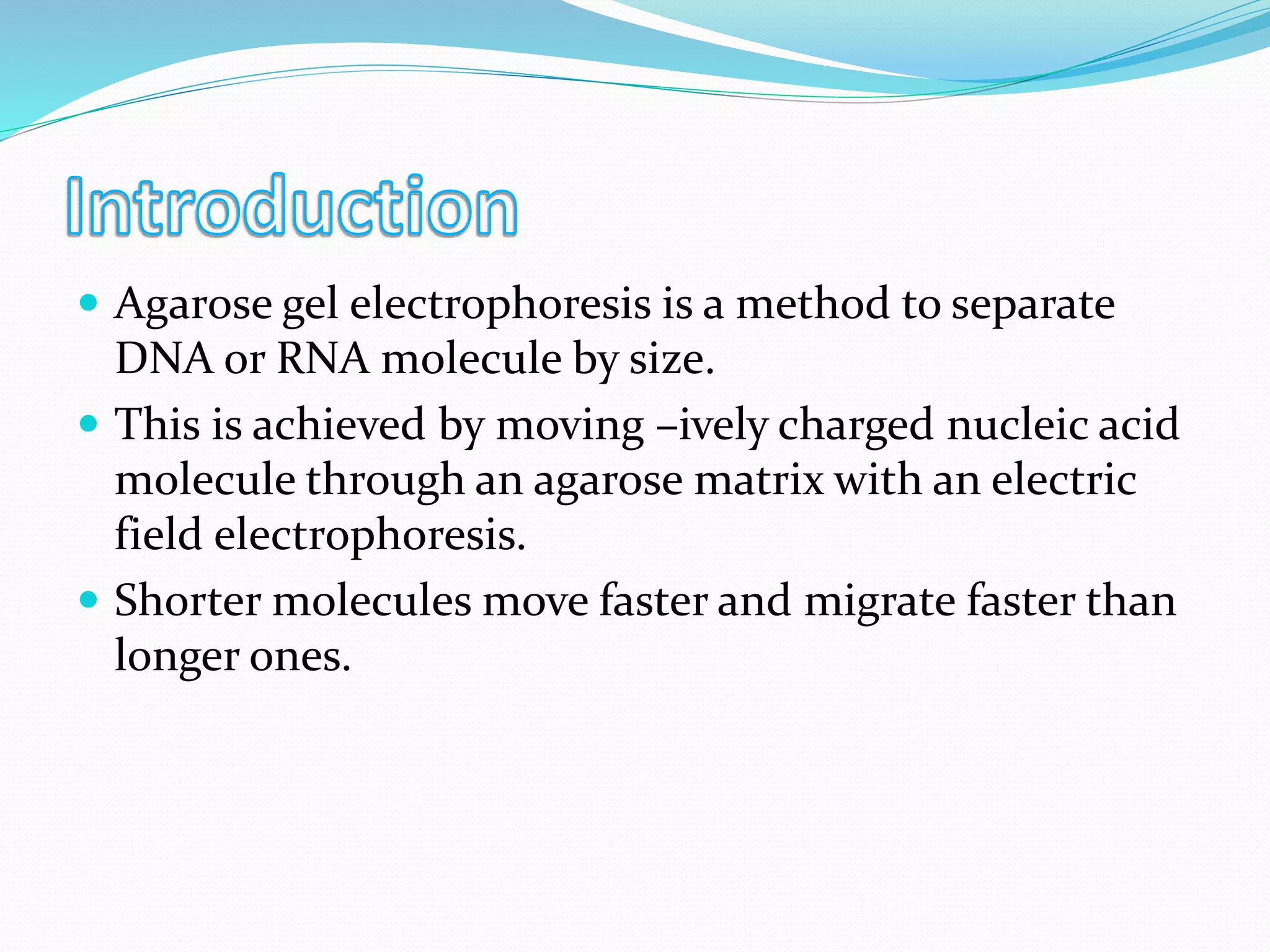 Electrophoresis: agarose | PPT
