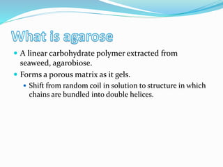 Electrophoresis: agarose | PPT