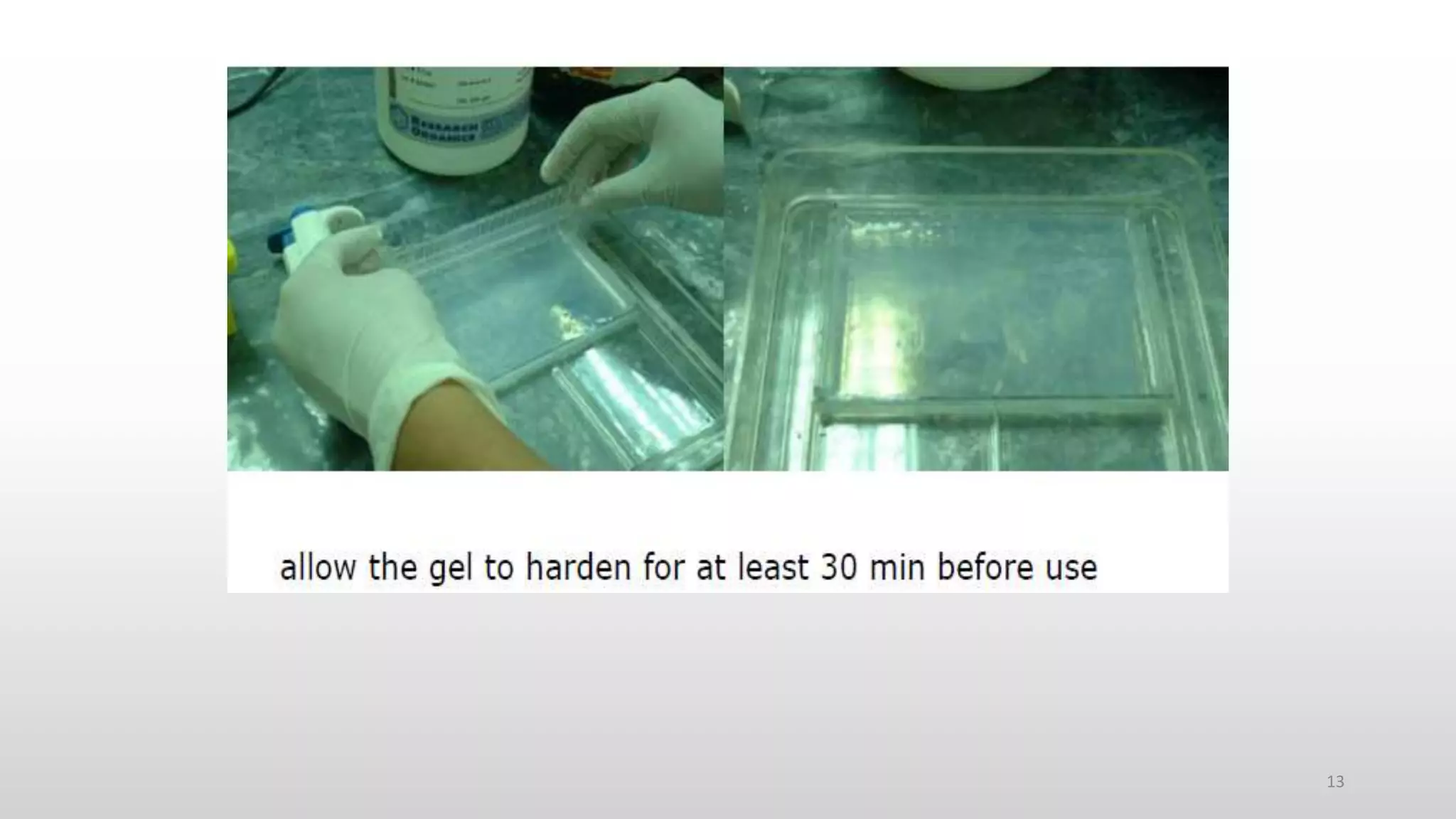 Agarose gel electrophoresis and western blotting | PPTX | Chemistry ...