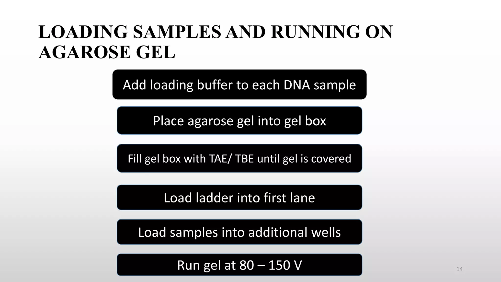 Agarose gel electrophoresis and western blotting | PPTX | Chemistry ...