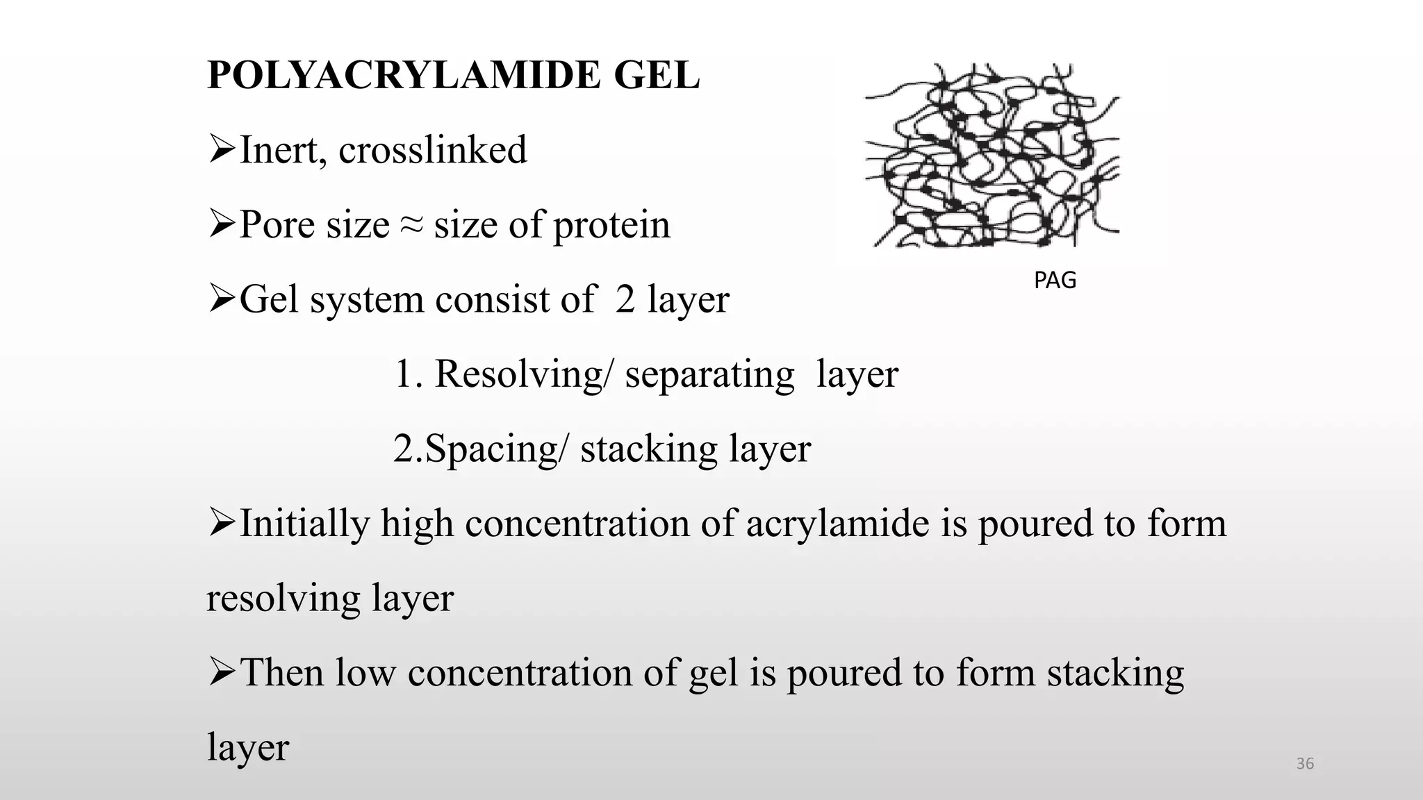 Agarose gel electrophoresis and western blotting | PPT