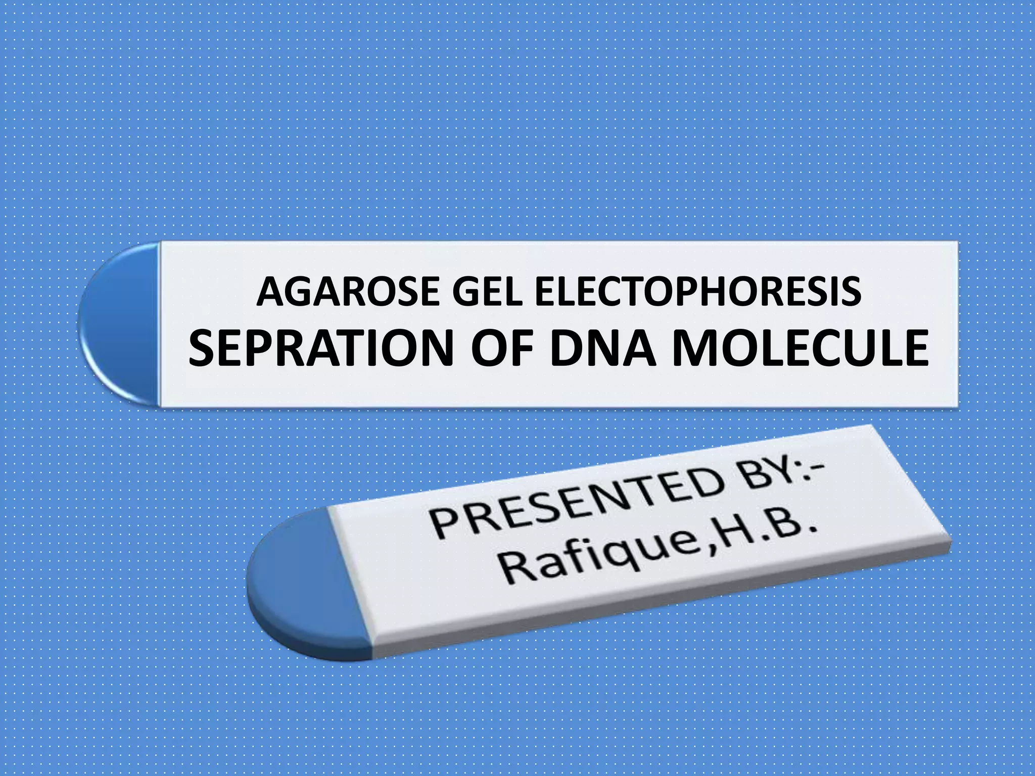 Agarose gel electrophoresis | PPT