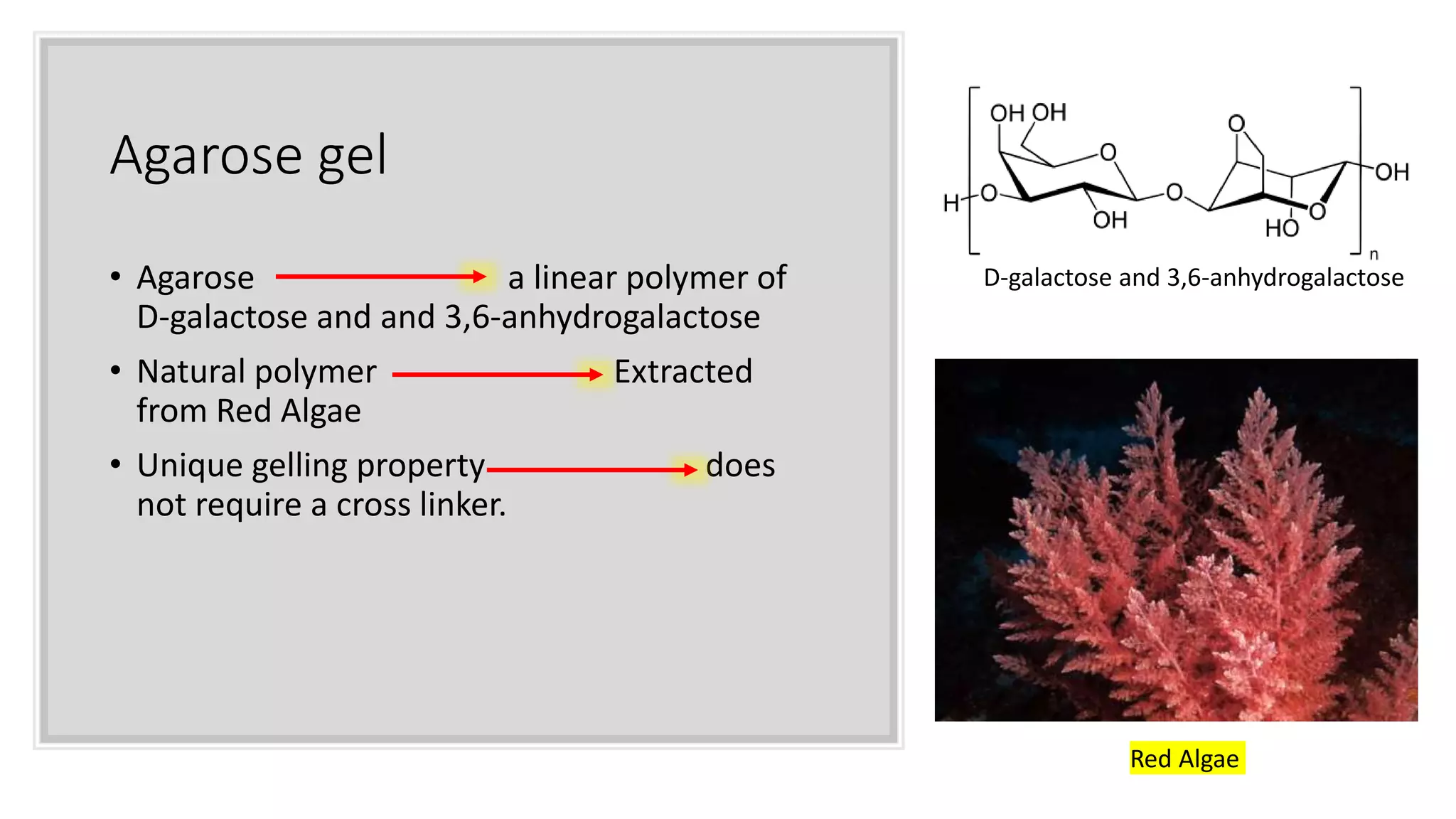 Agarose gel electrophoresis | PPTX