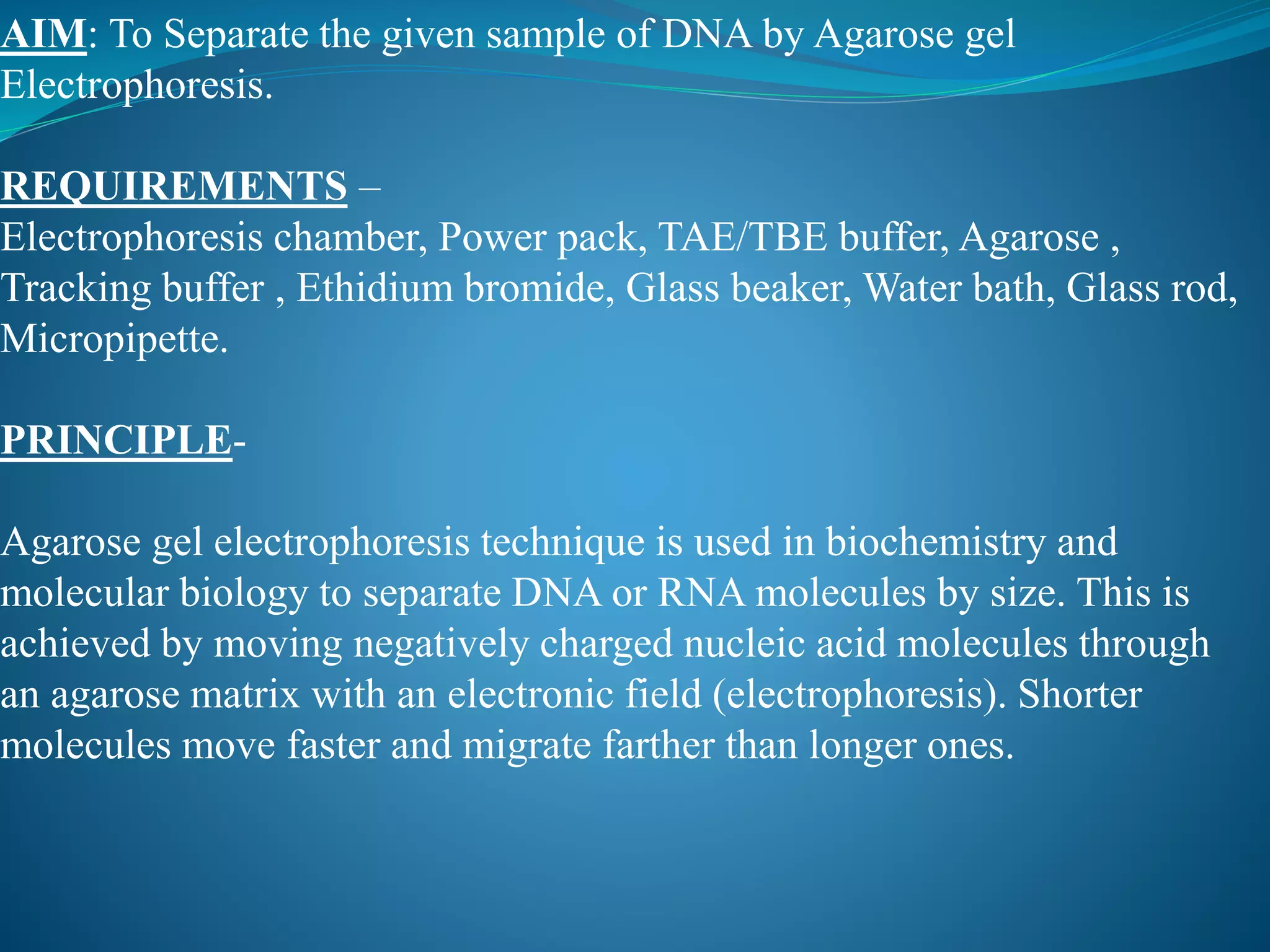 Agarose gel electrophoresis | PPTX