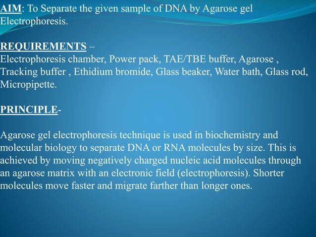 Agarose gel electrophoresis | PPTX