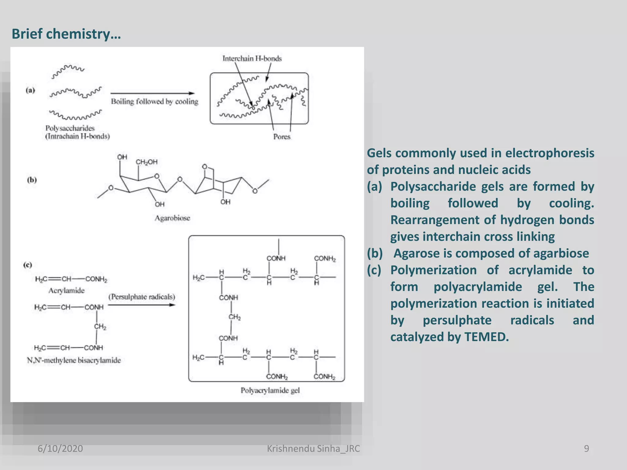 Agarose gel electrophoresis | PPTX