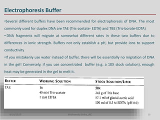 Agarose gel electrophoresis | PPTX