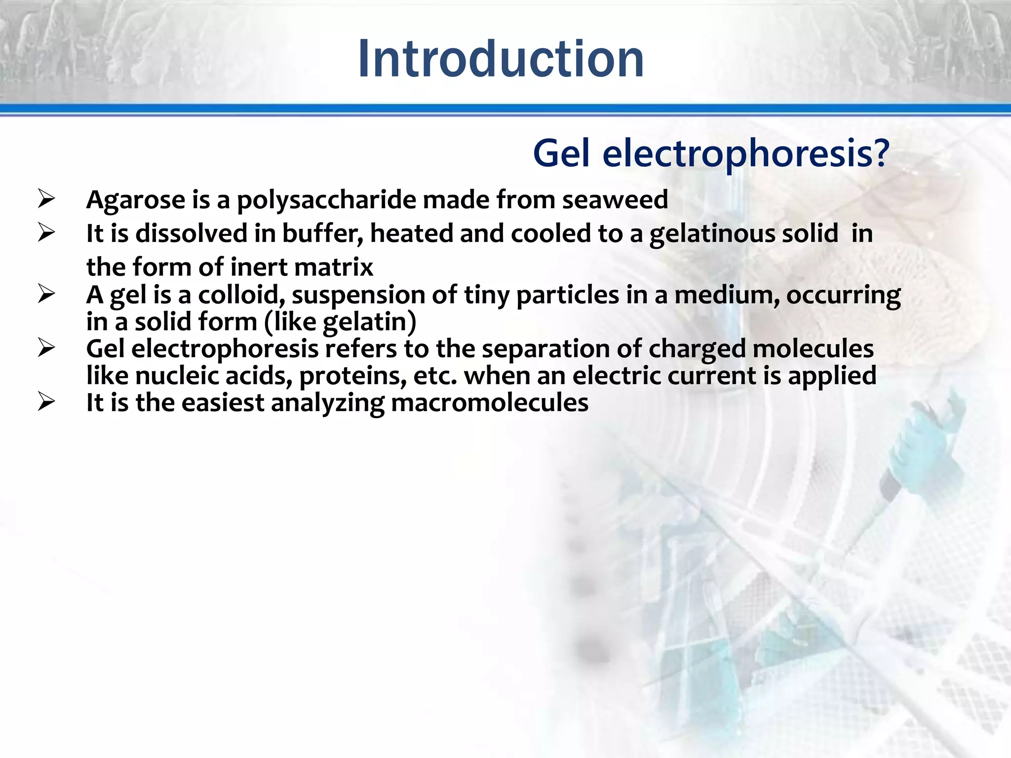 Agarose gel electrophoresis | PPTX