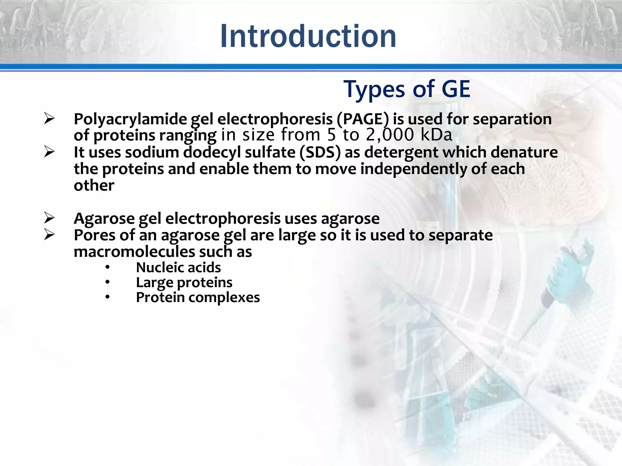 Agarose gel electrophoresis | PPTX