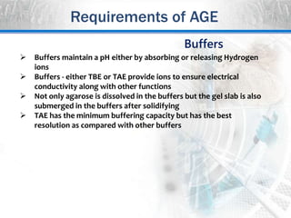 Agarose gel electrophoresis | PPT