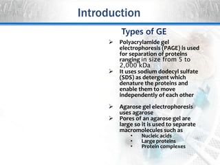 Agarose gel electrophoresis | PPTX