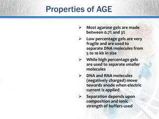 Agarose gel electrophoresis | PPTX