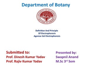 Agarose gel electrophoresis by Swapnil Anand.pptx