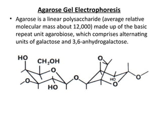 Agarose gel electrophoresis by Swapnil Anand.pptx