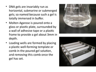 Agarose gel electrophoresis by Swapnil Anand.pptx