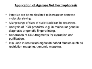 Agarose gel electrophoresis by Swapnil Anand.pptx