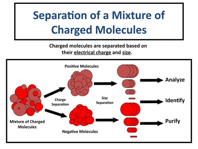 Agarose gel electrophoresis by Swapnil Anand.pptx