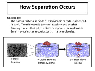 Agarose gel electrophoresis by Swapnil Anand.pptx