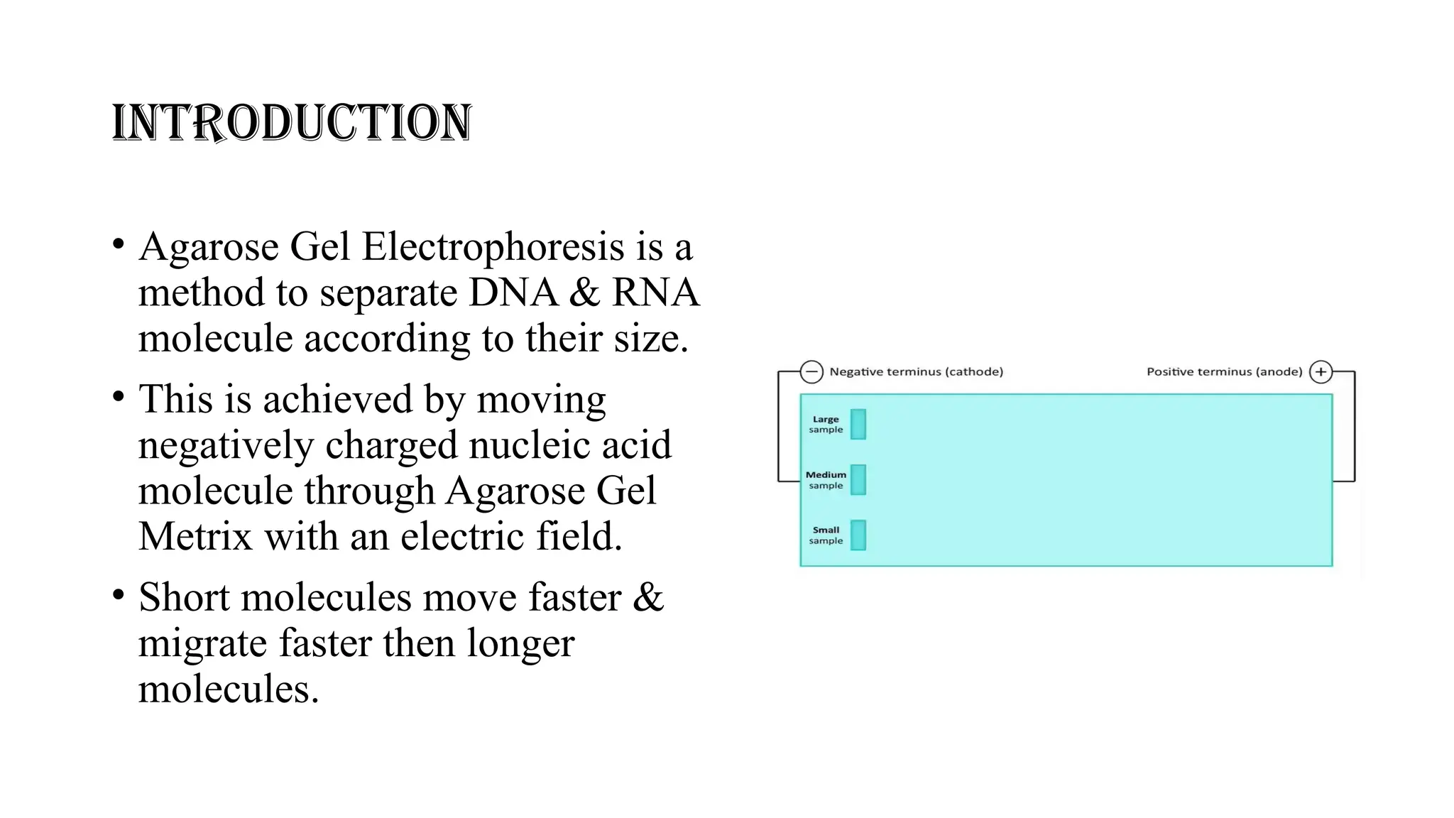 Agarose Gel Electrophoresis , Complete laboratorycal procedure explain ...